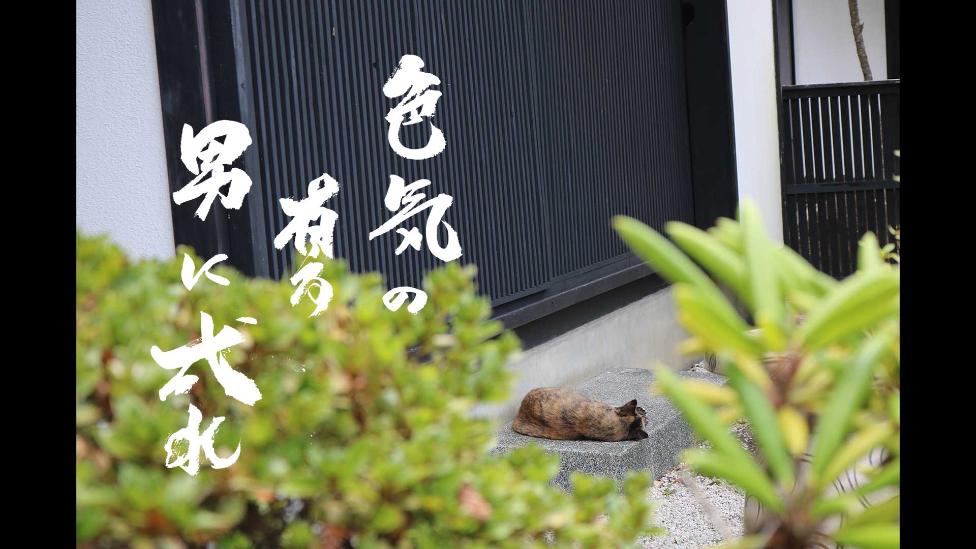 202306-3 | 【公式】熱海温泉 離れの…..宿 ほのか